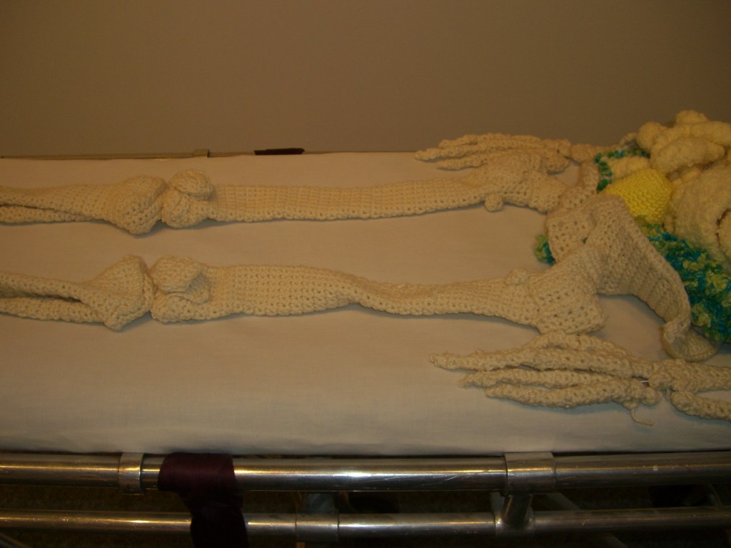 Lab (skeleton) – Shanell Papp