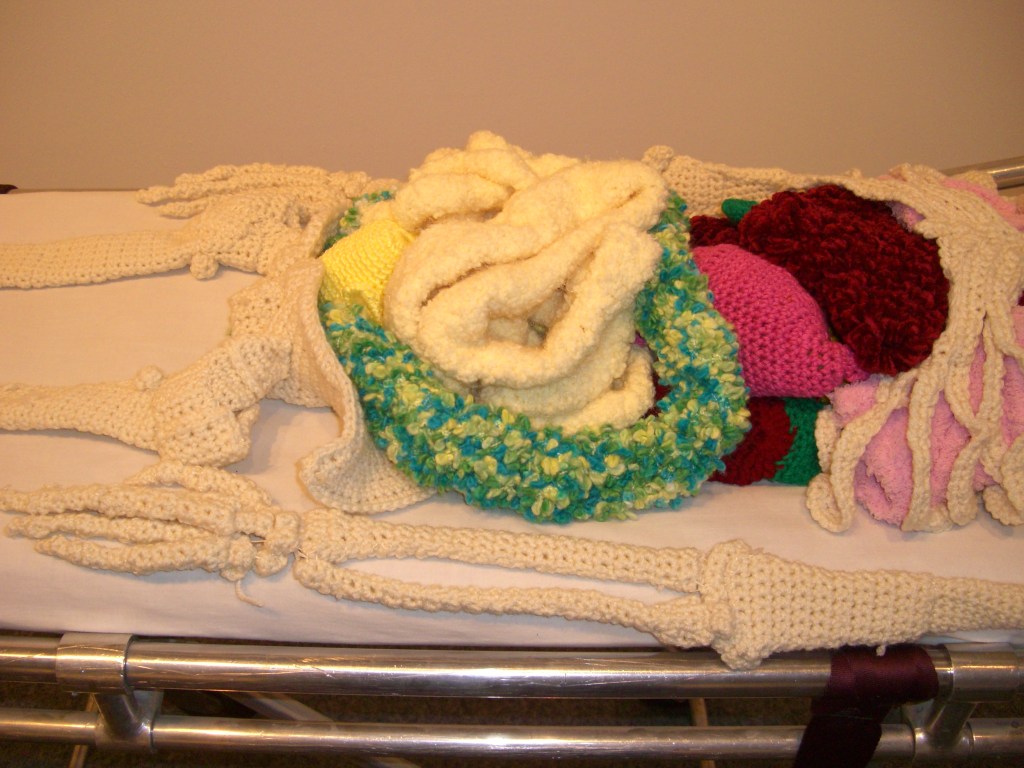 Lab (skeleton) – Shanell Papp