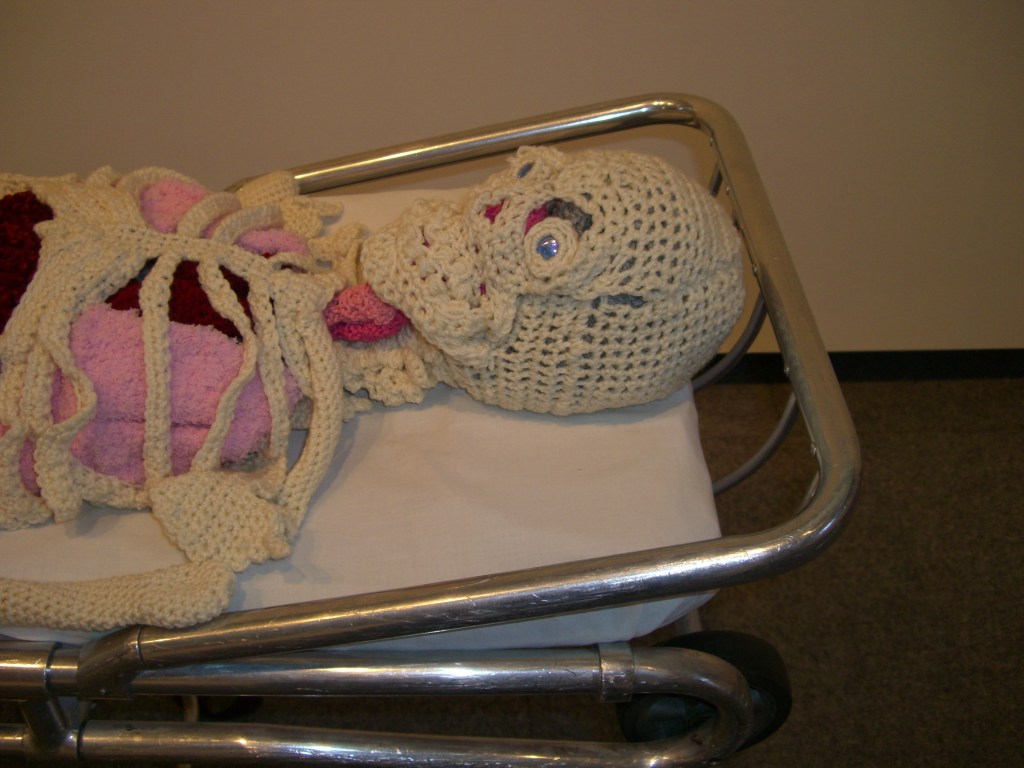 Lab (skeleton) – Shanell Papp